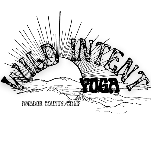 sun logo, white – Wild Intent Yoga